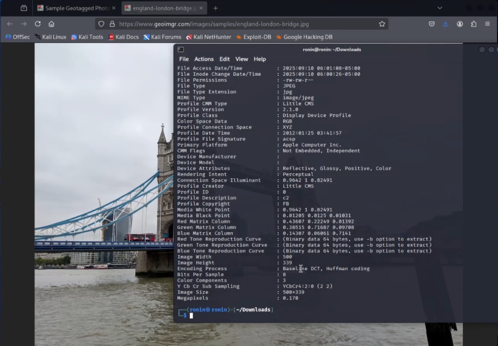 Stock Image Safety - How To Spot Fake Downloads and Risky File Bundles ...